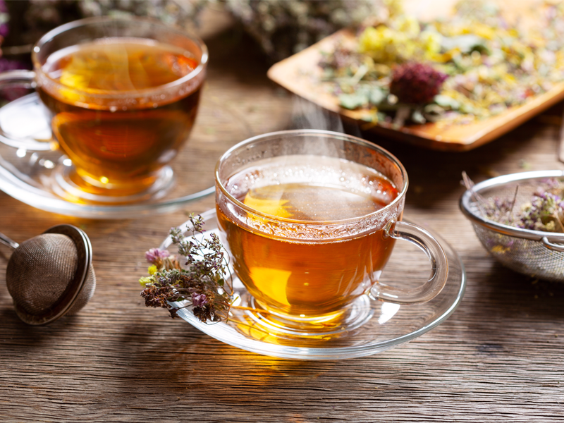 Offers, Deals and Promotions | Grape Tree