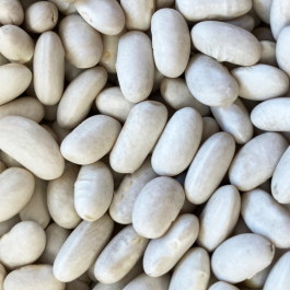 Organic Cannellini Beans 250g | Pulses, Lentils & Beans | Grape Tree