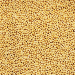 Yellow Mustard Seeds 500g | Grape Tree