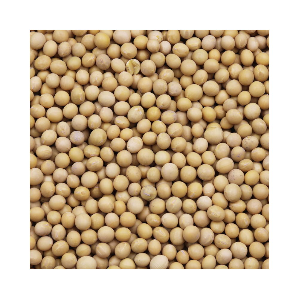 Organic Soya Beans 400g | Grape Tree