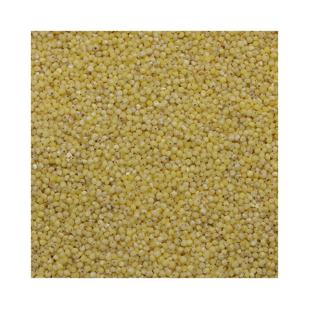 Buy Millet 500g | Natural Whole Grain | Grape Tree
