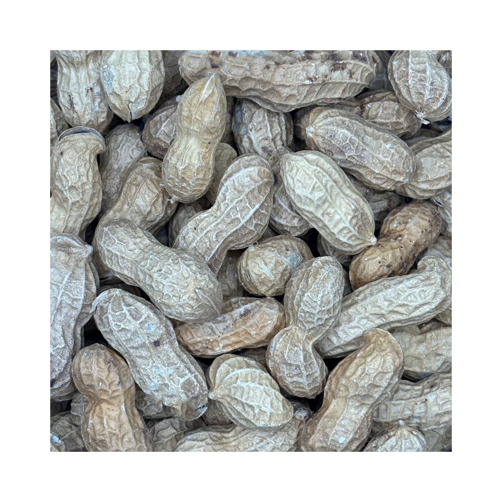 Roasted Monkey Nuts 500g | Nuts | Grape Tree