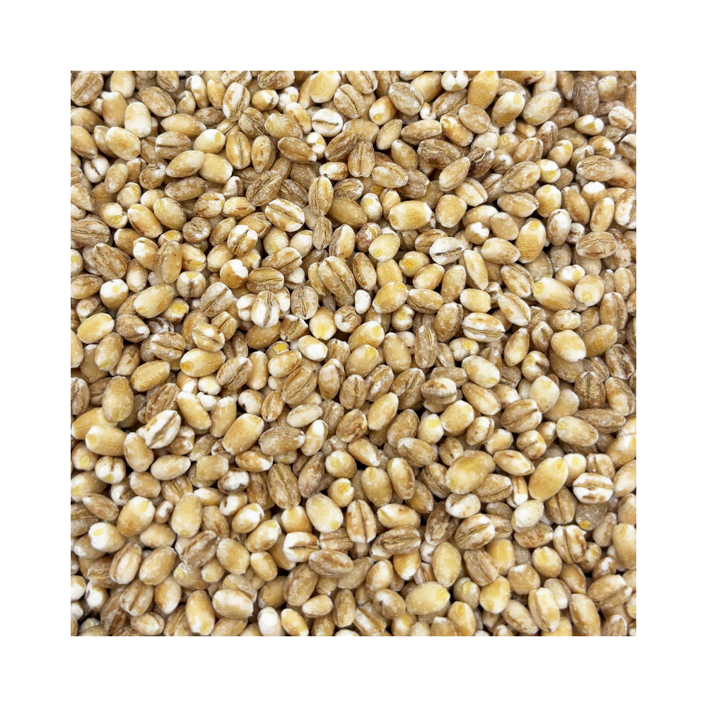 Organic Pearl Barley 500g | Grains | Grape Tree