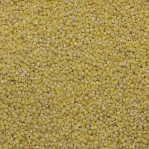 Grape Tree Health Foods, Well Being Store